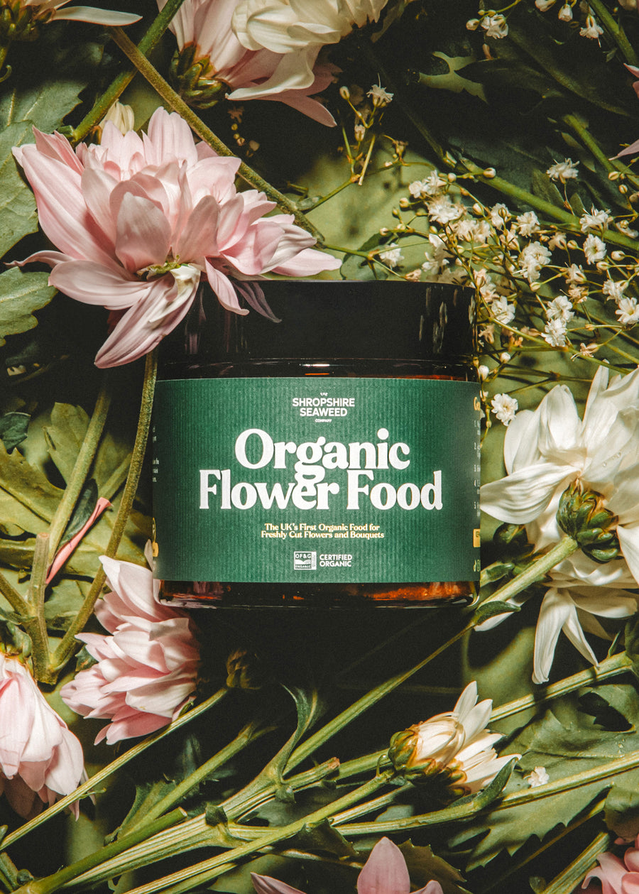 Organic Flower Food | Shropshire Seaweed – The Shropshire Seaweed Company