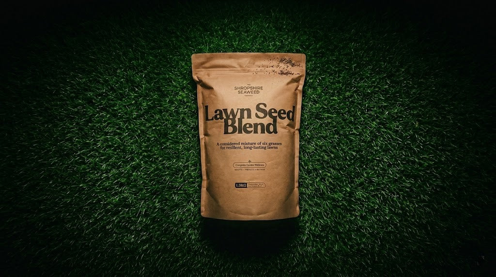 Cold-Pressed Seaweed Fertiliser & Plant Food | Shropshire Seaweed – The ...